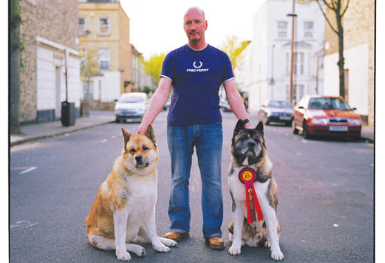 Akita Rescue and Welfare dogs set for award – Adora and Max to be ...