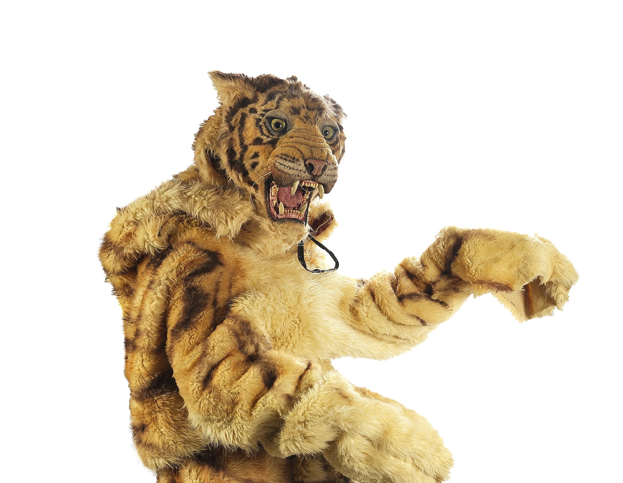 A Christmas gift for someone who has everything? The ultimate Monty ...