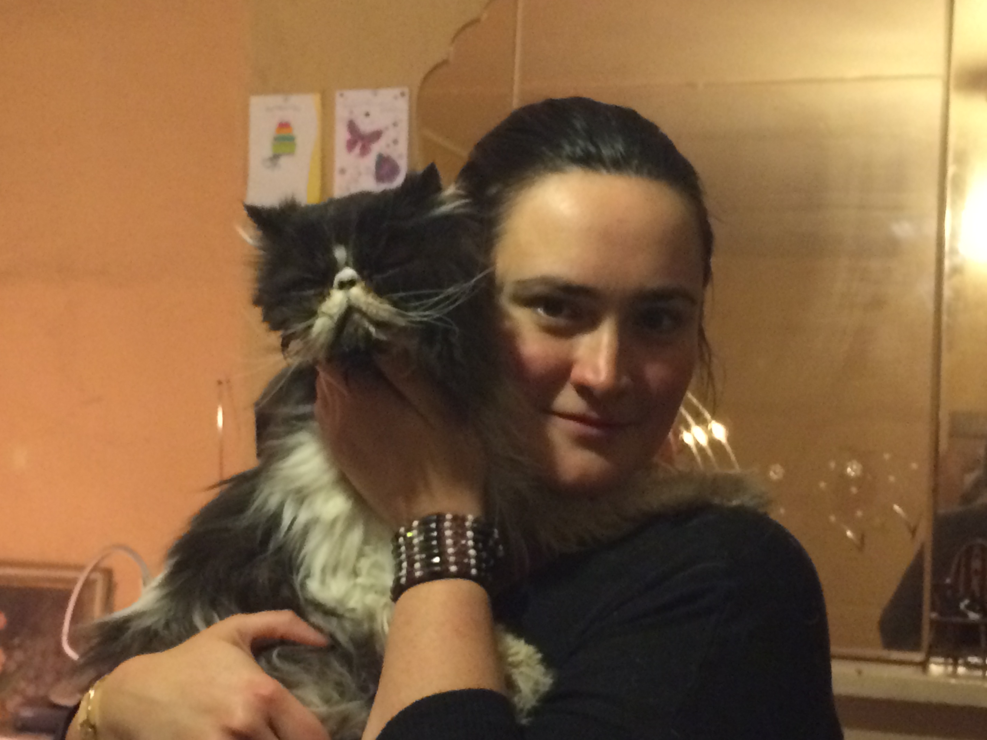 Katya's back! Big head cat found in Kentish Town after internet appeal ...