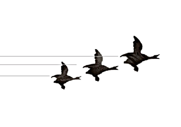 When ducks fly in formation… | Camden New Journal