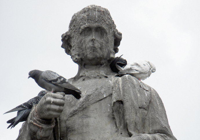 Give Richard Cobden a chance, get rid of the pigeons | Camden New Journal