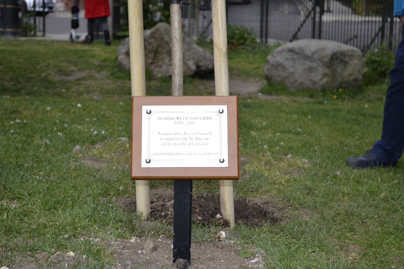 Tree to honour ‘warm-hearted' ex-nurse Pam Hibbs | Camden New Journal