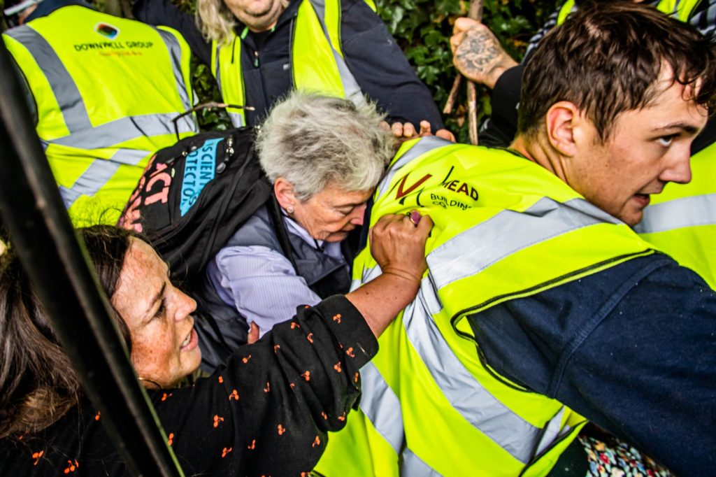 Protesters protecting trees from chop are dragged away | Camden New Journal