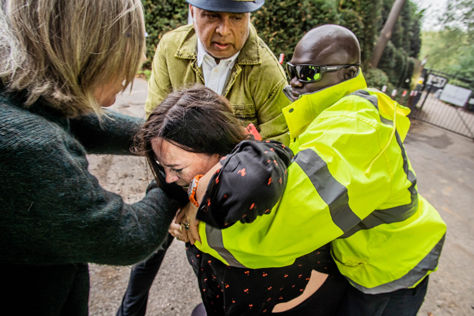 Protesters protecting trees from chop are dragged away | Camden New Journal