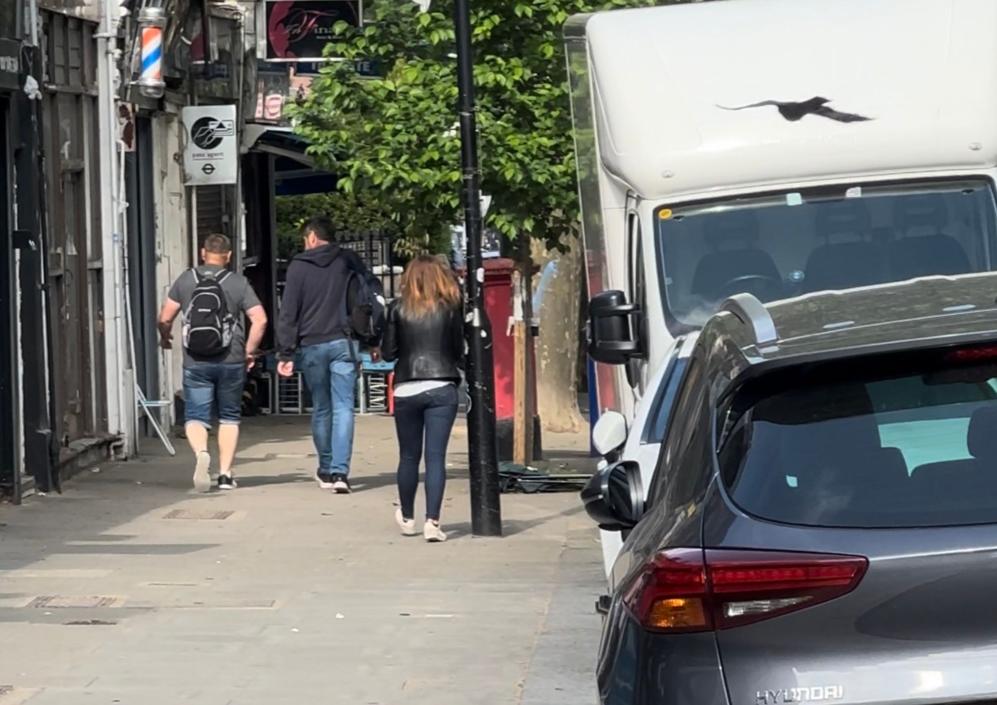 ‘It's happening 20 times a day!': Crows attack people with long hair in ...
