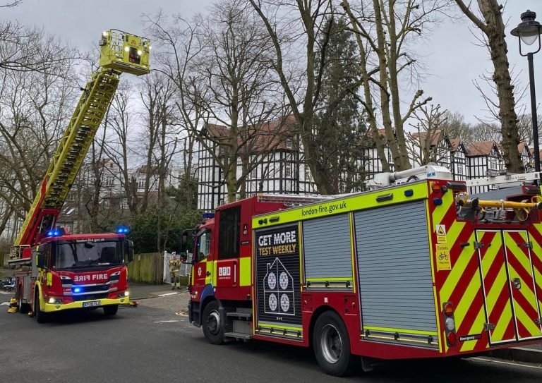 Firefighters rescue tangled-up pigeon | Camden New Journal