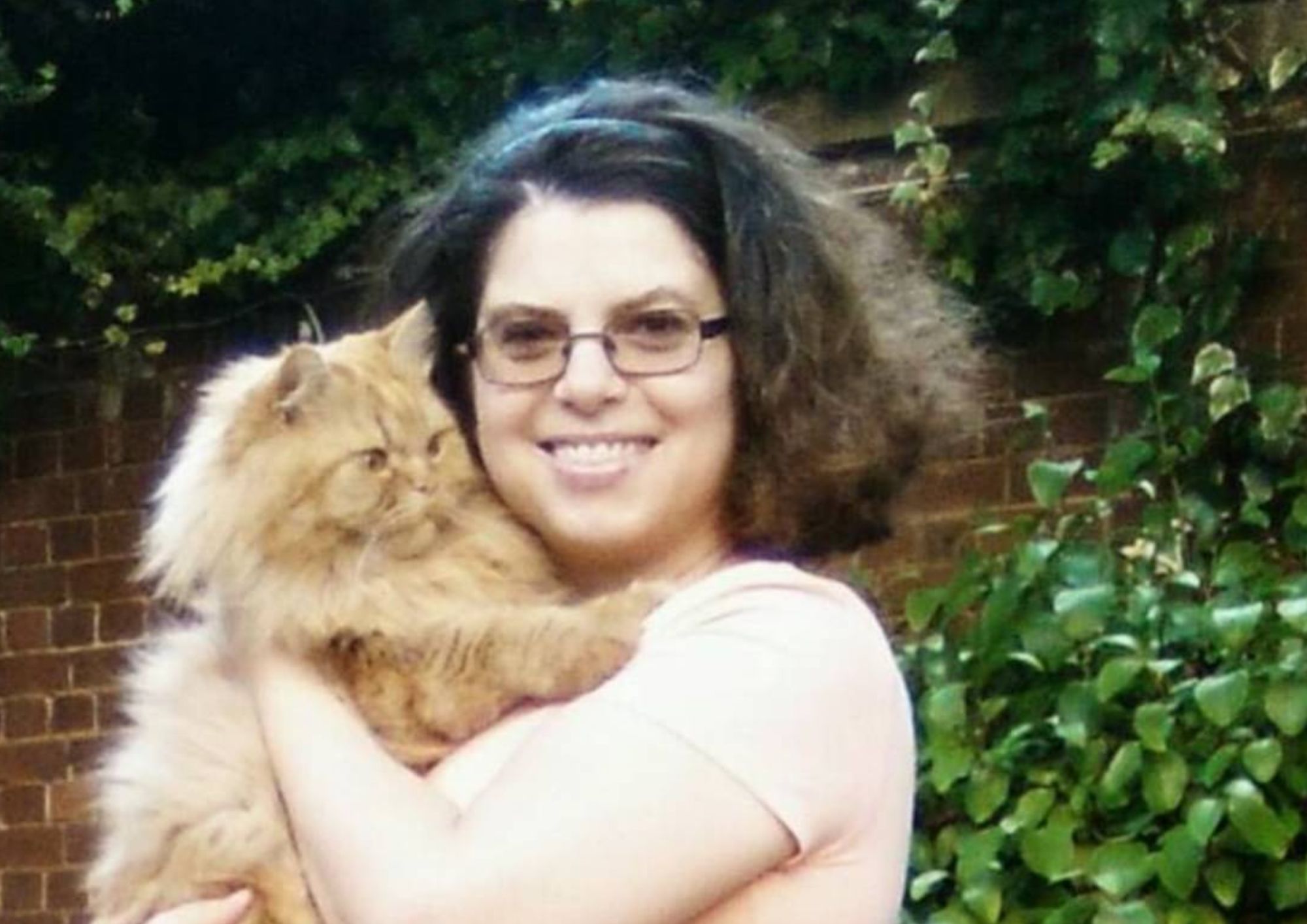 Kit-and-run: Devastated owner says drivers who run over cats should ...