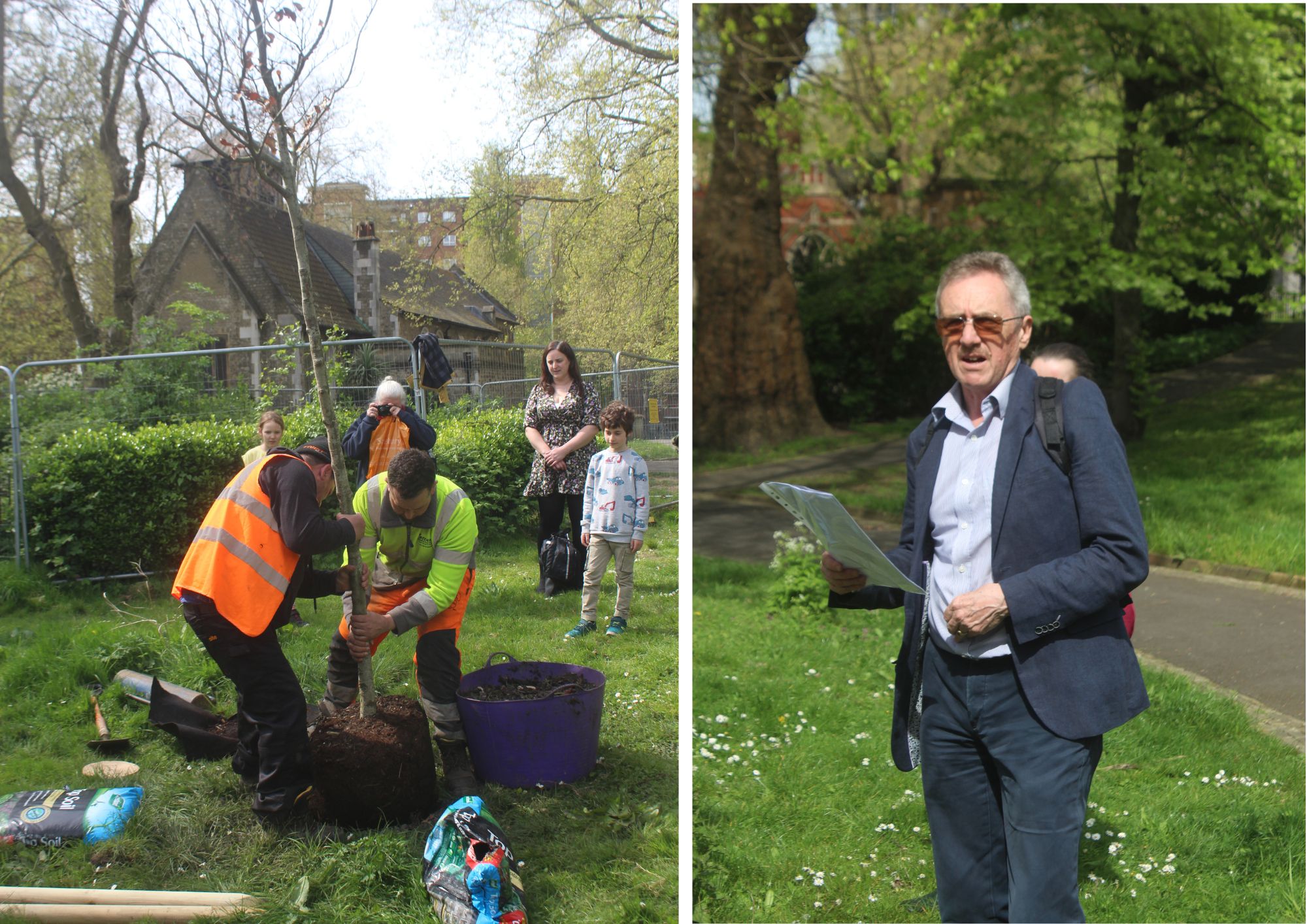 New Hardy tree planted in St Pancras Gardens for writer | Camden New ...