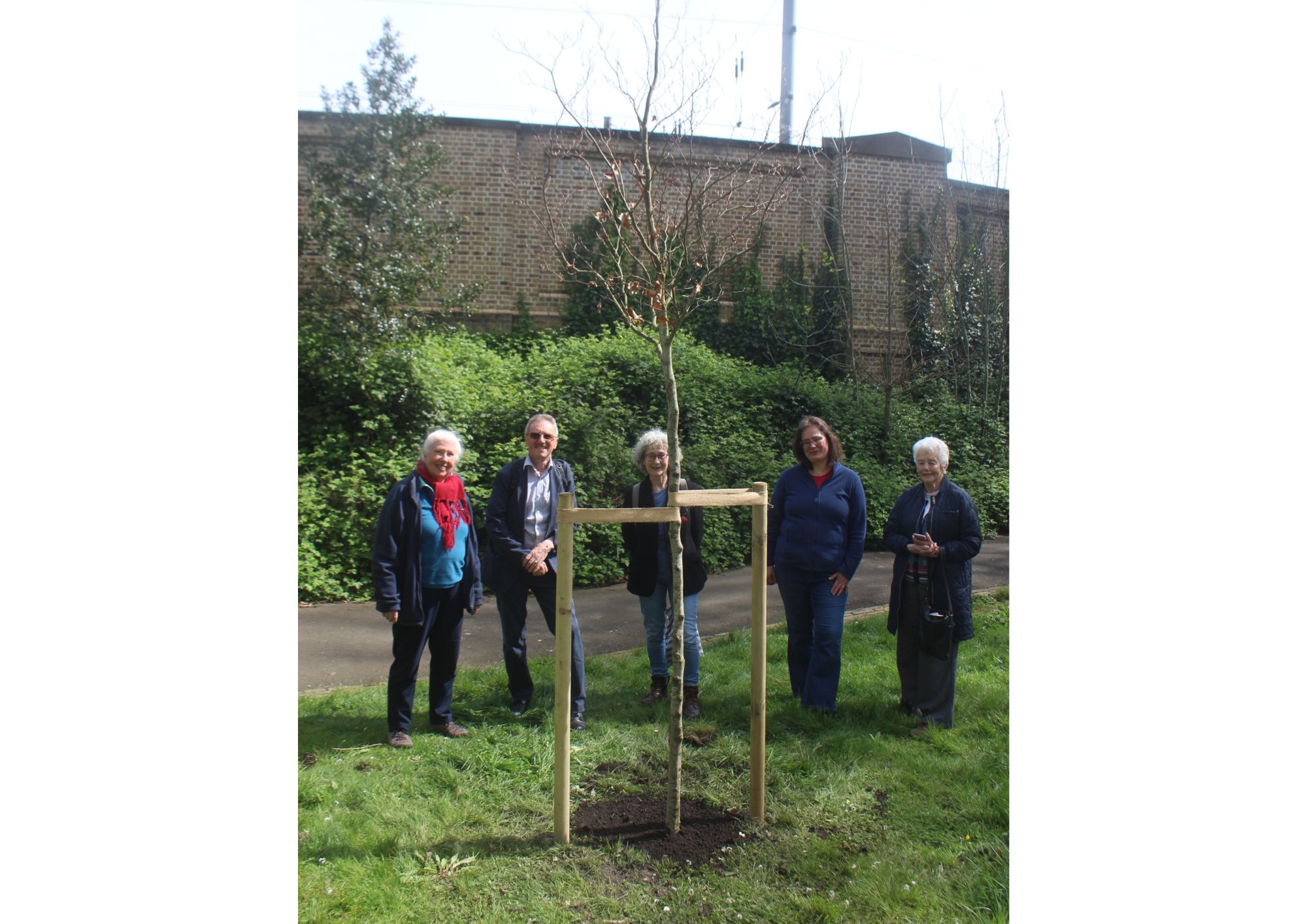 New Hardy tree planted in St Pancras Gardens for writer | Camden New ...