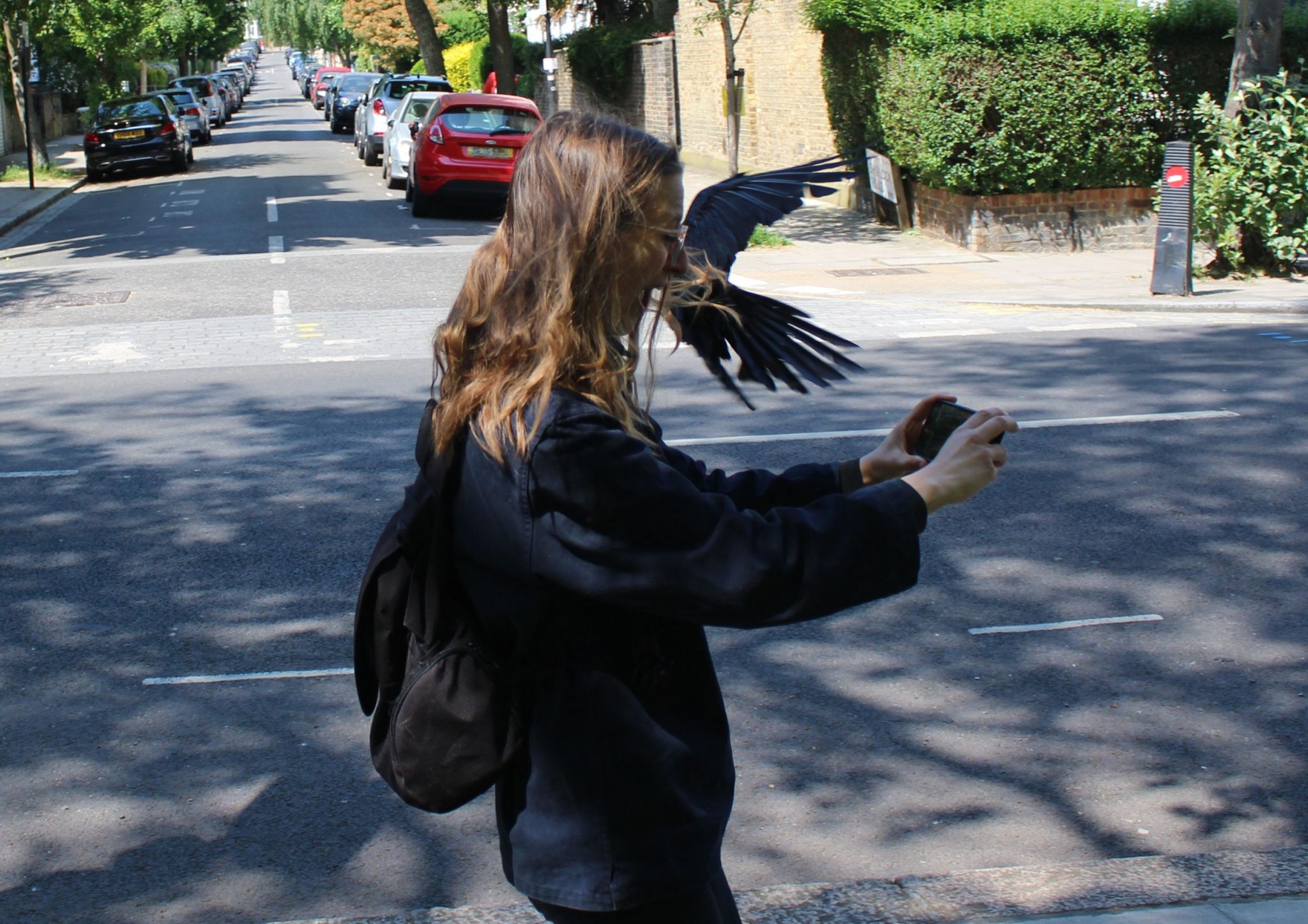 Watch out! It's the return of Gospel Oak's dive-bombing crows | Camden ...