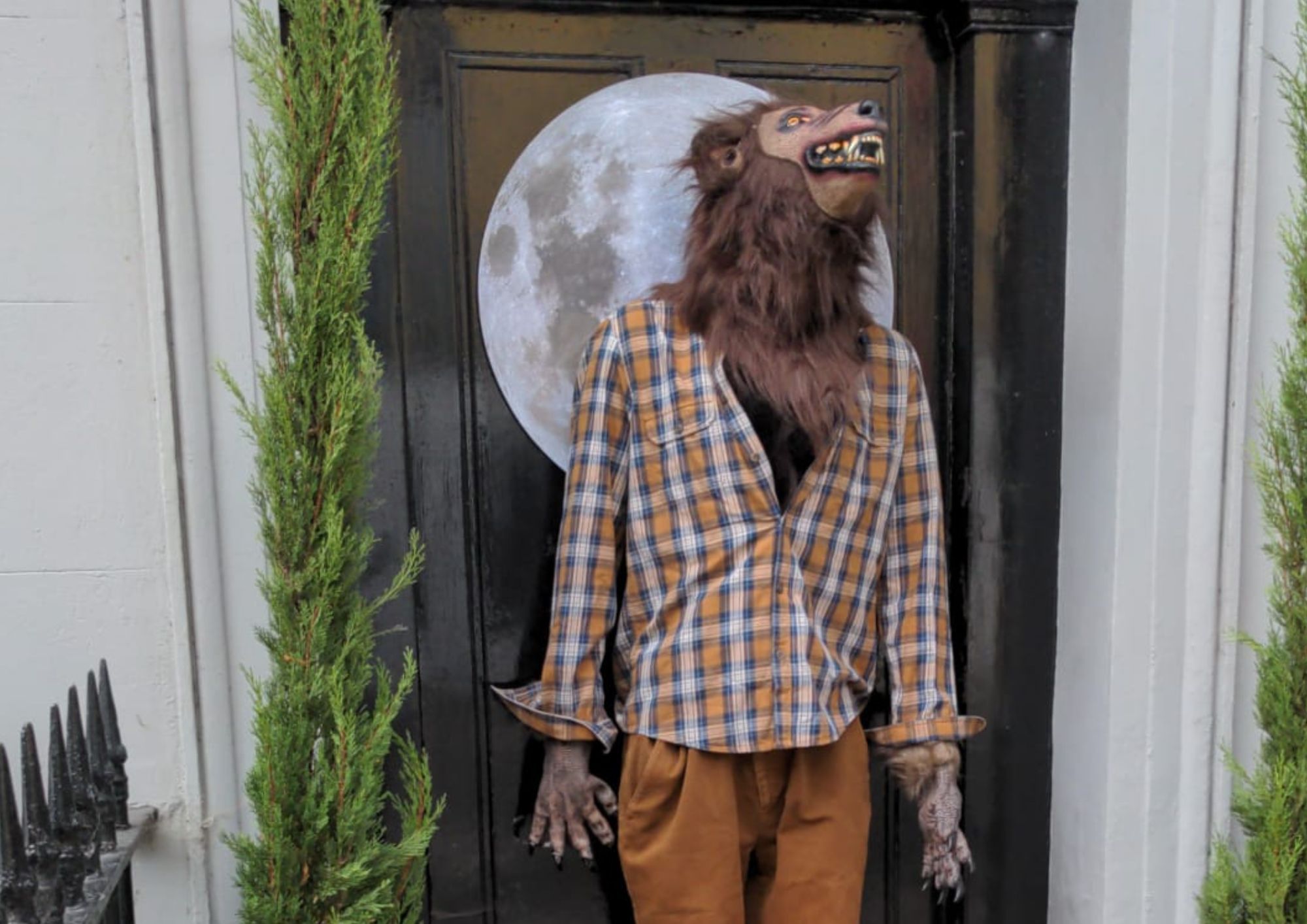 Halloween decorations stolen from doorstep for a fourth year in a row ...