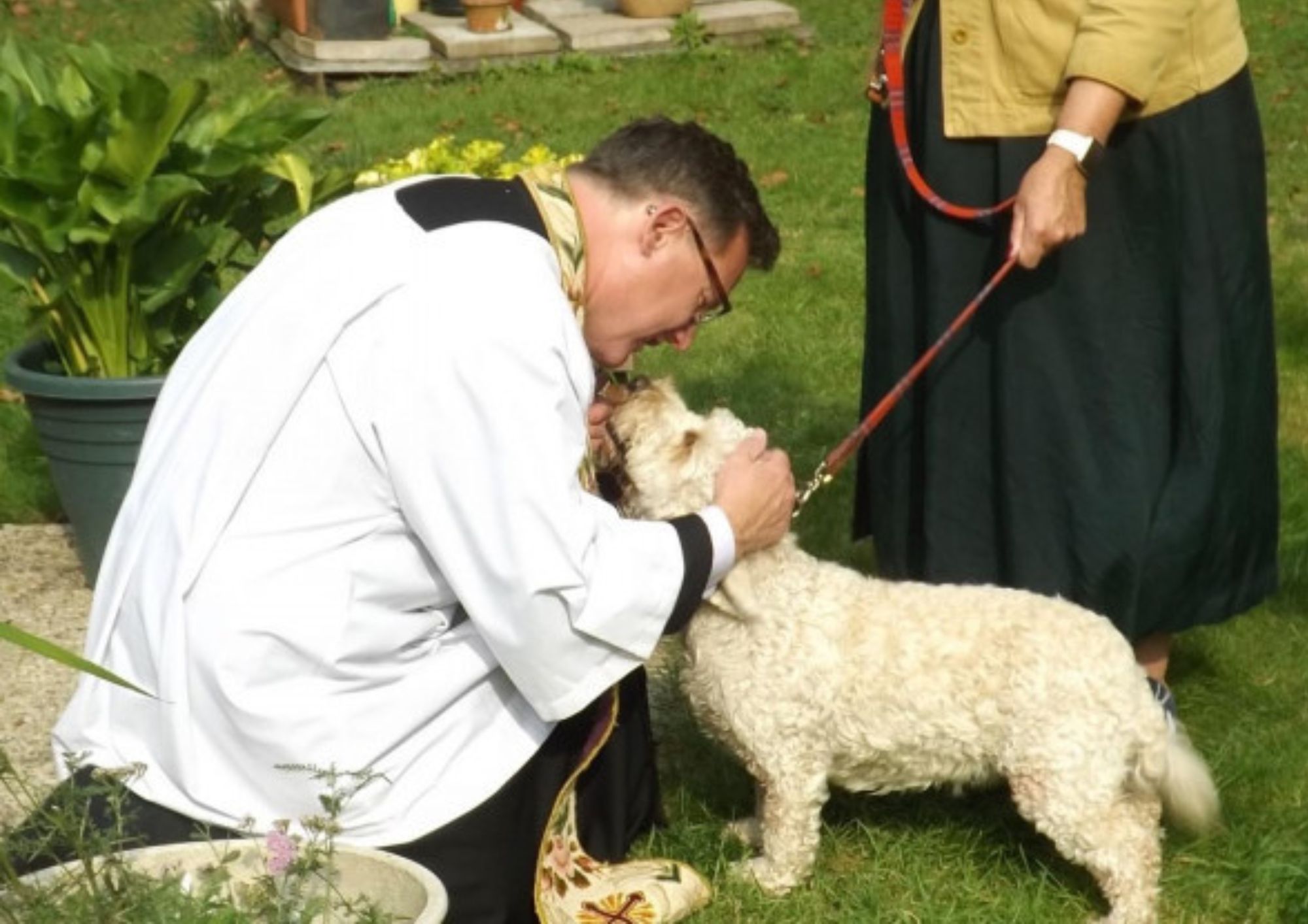Dogs, cats… but maybe not snakes! Bring your pets to be blessed in ...