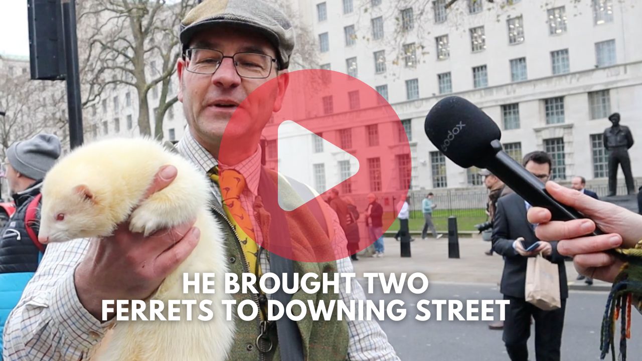 Review: Ballet Shoes at the National Theatre | Camden New Journal