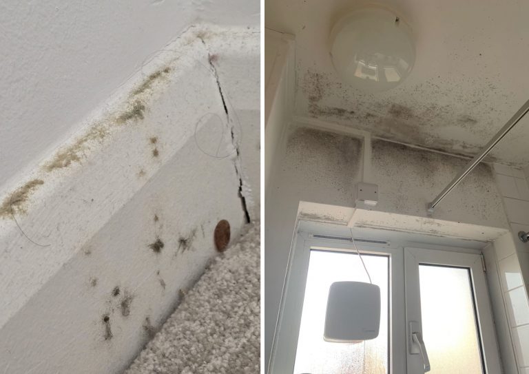 ‘I felt so guilty when I saw all of the mould – how could I let my ...