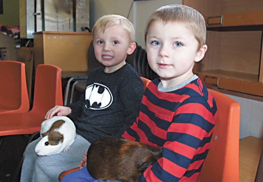 Up close and friendly at the farm | Camden New Journal